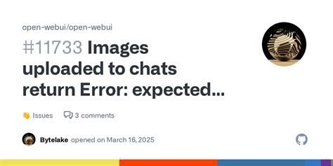 Images Uploaded To Chats Return Error Expected String Or Buffer · Open Webui Open Webui