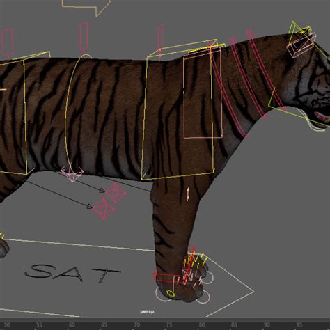 Tiger Rig Animprops