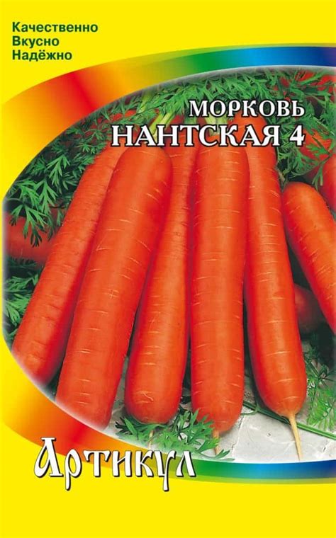 Сорт моркови Нантская: описание, разновидности, сроки созревания и ...