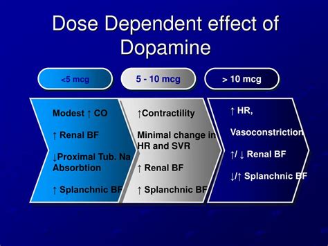 Ppt Vasoactive Agents In The Picu Powerpoint Presentation Free