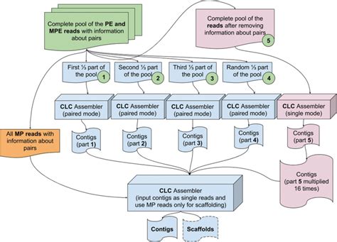 Stepwise Assembly Workflow Chart Download Scientific Diagram Stepwise Assembly Workflow Chart Download Scientific Diagram