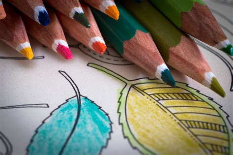무료 이미지 손 창조적 인 무늬 녹색 페인트 그림 미술 성인 심사 숙고 펜 진정 색깔이있는 연필