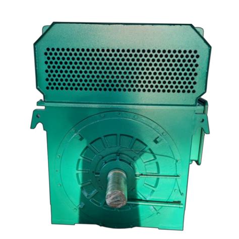 High Voltage Three Phase Asynchronous Ac Motor High Voltage Electro