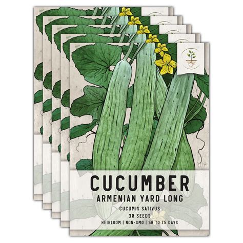Armenian Yard Long Cucumber Seeds Cucumis Sativa Seed Needs Seed Needs Llc