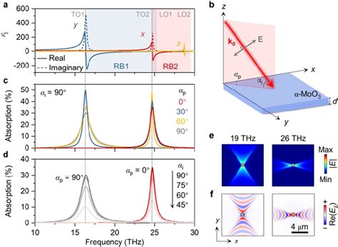 Phonon Resonances And In Plane Hyperbolic Phps In α Moo 3 A Optical Download Scientific