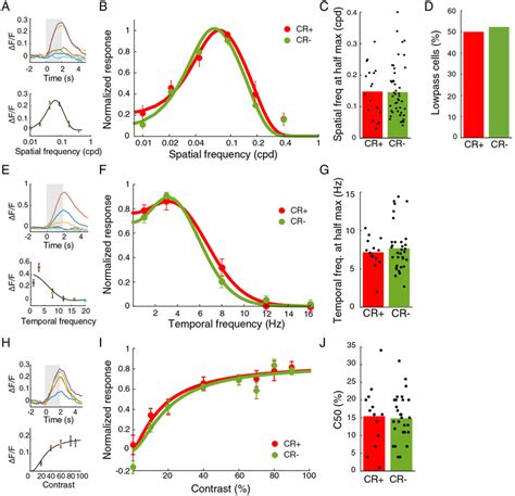 spatial and temporal frequency and contrast tuning are equal for cr