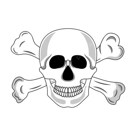 Skull And Crossed Bones Isolated On White Background Skull Drawing