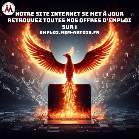 Mimich Vandaele Posted On Linkedin