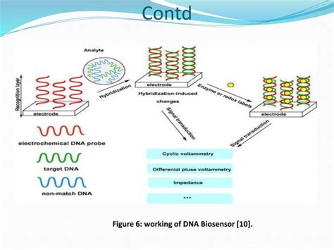 Biosensors Their Types Pptx