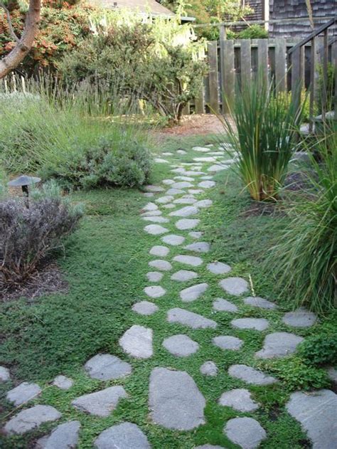 Elfin Thyme Between Pavers