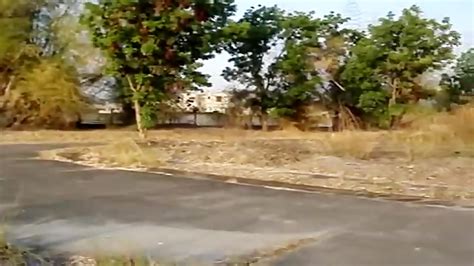 پایداری چری کویین