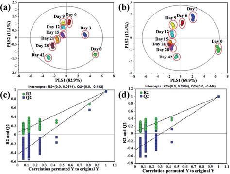 Partial Least Squares Discriminant Analysis Pls Da Scores And Their Download Scientific