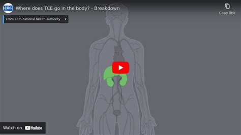 Breakdown Animated Toxicology Tool Atsdr