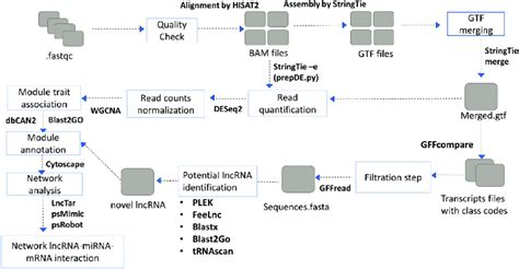 The Overall Workflow Of Lncrna Identification And Weighted Gene