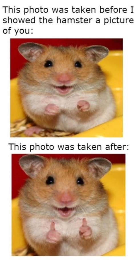 Made My Day R Wholesomememes