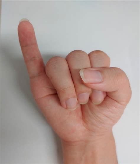 Figure 1 From Data Augmentation For Human Keypoint Estimation Deep Learning Based Sign Language