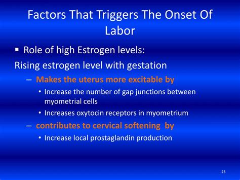 Ppt Pregnancy And Lactation Powerpoint Presentation Free Download