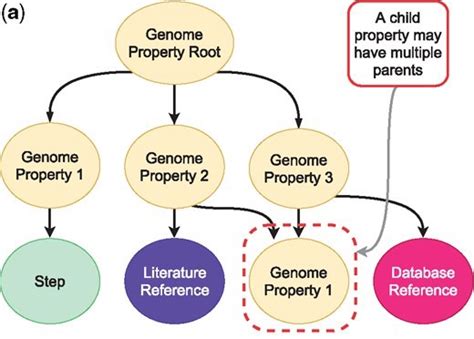 Doxey Lab Research