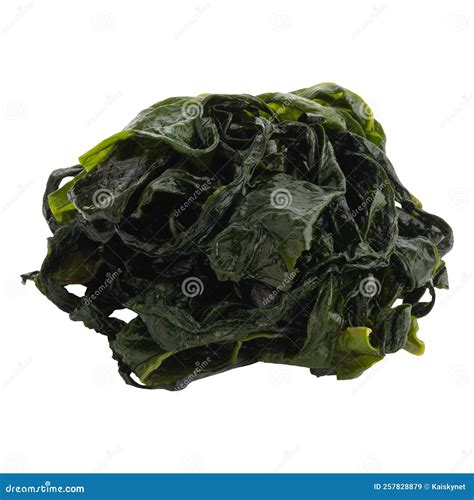 Kombu Kelp Is A Large Brown Algae Seaweed Binomial Name Laminaria