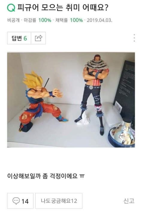 ㅇㅎ 피규어 모으는 취미 어때요 유머 움짤 이슈 에펨코리아