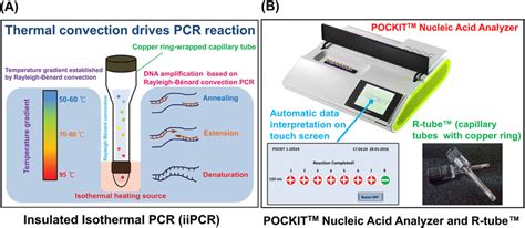 Diagrammatic Representations Of The Insulated Isothermal Pcr Iipcr Download Scientific