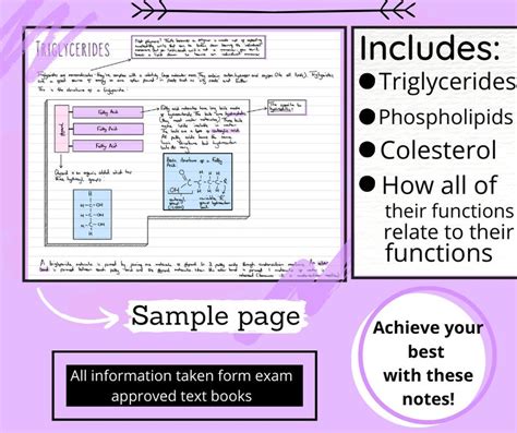 A Level Biology Revision Notes Lipids Etsy