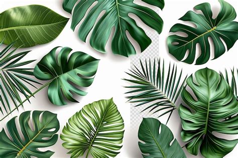 투명 한 배경 에 담긴 신선 한 물 의 스프레이 프리미엄 Psd 파일