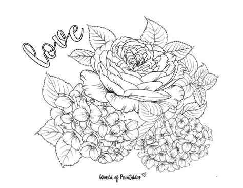 Best Flower Coloring Pages 2025