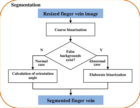 Block Diagram Of Segmentation Download Scientific Diagram