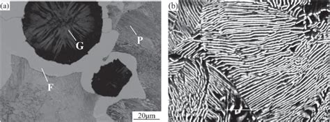 A Om Micrograph Of As Cast Ductile Iron B Sem Micrograph Of