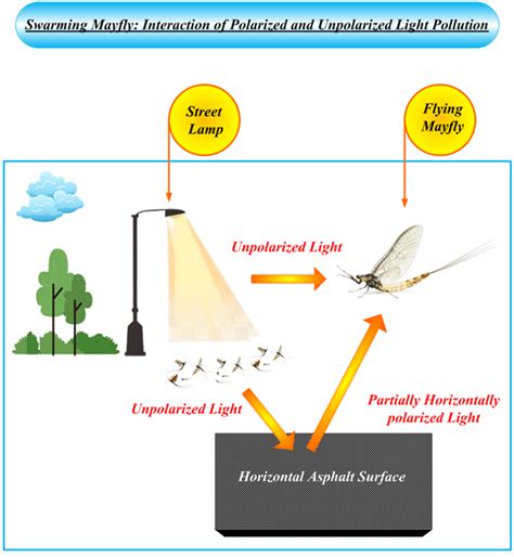 Mayfly Optimization Algorithm Ma A Population Based Approach Used