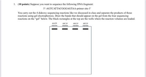 Solved Points Suppose You Want To Sequence The Chegg Com