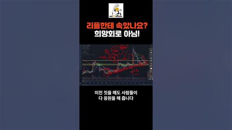 여러분은 리플에게 속은게 아닙니다 리플 리플코인 리플전망 Youtube