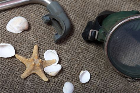 불가사리 조개 스쿠버 다이빙을 위한 스노클링이 있는 마스크 그들은 거친 린넨 직물에 누워있다 껍데기에 대한 스톡 사진 및 기타