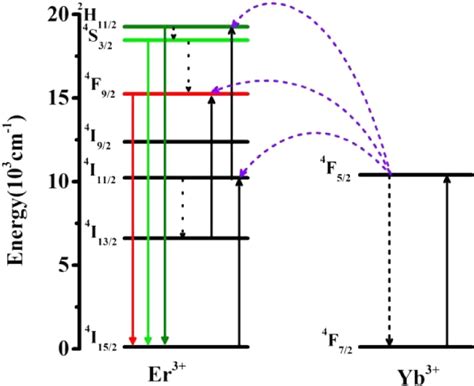 Energy Level Diagram And Up Conversion Processes In Er³⁺yb³⁺ Co Doped
