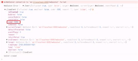 Websocket이 열리지 않는 문제