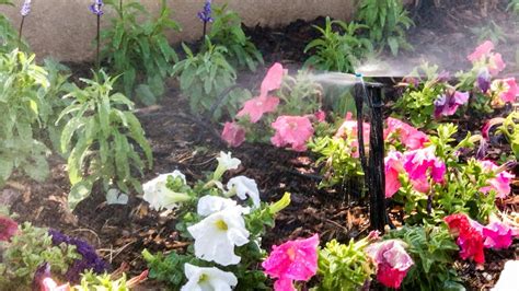 Premium Photo Lawn Irrigation