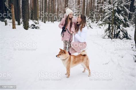 행복한 가족 젊은 어머니와 분홍색 따뜻한 아웃웨어에 작은 귀여운 소녀는 야외에서 눈 덮인 흰색 추운 겨울 숲에서 붉은 시바 이누