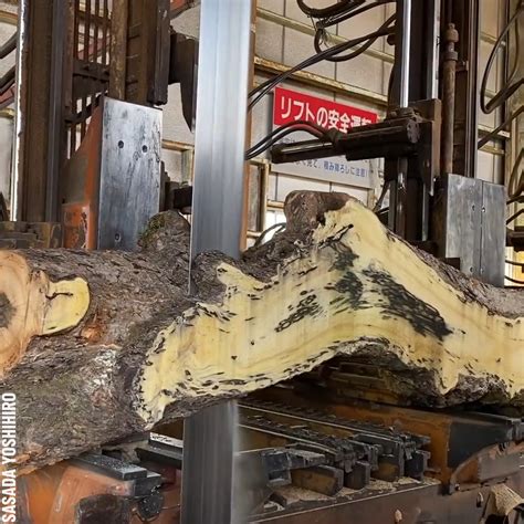 Slicing Big Trees Into Parts Slicing Big Trees Into Parts Partner