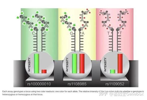 拉索实验室：农业育种常提到的“液相芯片”是什么？与“固相芯片”有什么区别？ 知乎