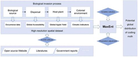 Technical Flow Chart Of This Study Download Scientific Diagram