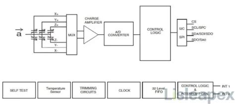 Lis2dw12 Vs Lis2dh12 What Are Differences And How To Choose Lisleapex