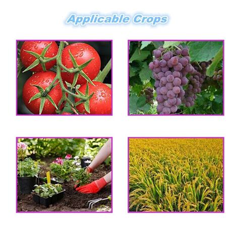 1000gbag Trichoderma Harzianum Trichoderma Fungi For Root Management 1000gbag Trichoderma Harzianum Trichoderma Fungi For Root Management