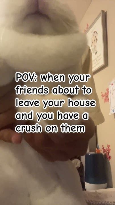 Cookie Shorts Viral Youtube