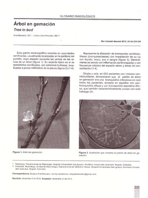 Arbol En Gemación Pdf Neumología Enfermedades Respiratorias