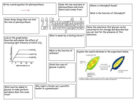 Photosynthesis Word Equation