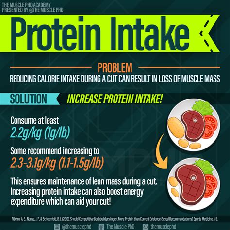 Protein Intake For Cutting The Muscle Phd