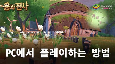 용과 전사 Bluestacks로 Pc 다운로드 및 플레이 방법
