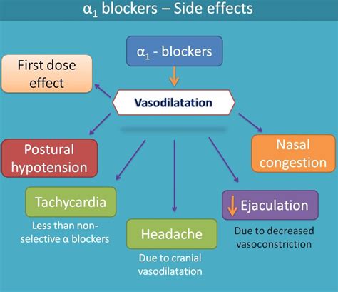 Alpha Adrenoceptor Antagonists Alpha Blockers Artofit