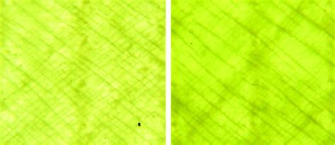 The Transmitted Light Photographic Images Showing The Matrix Cracking